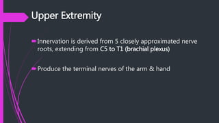 Axillary Block | PPTX