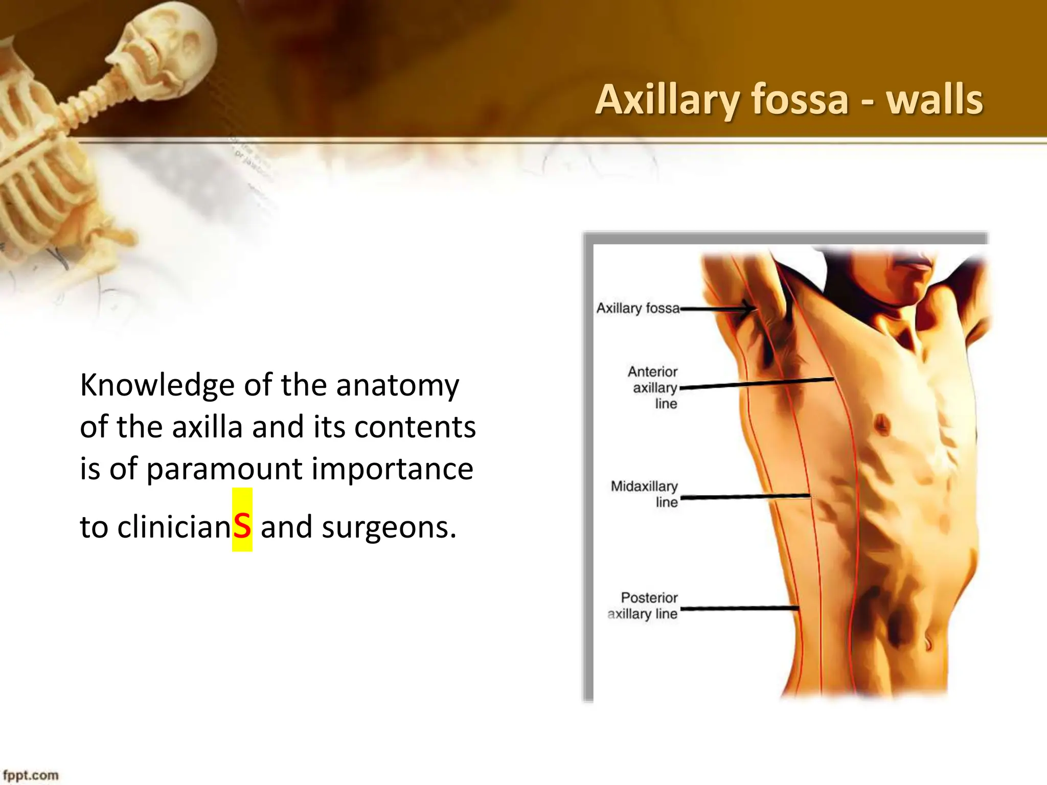 Axillary fossa_12.7.23.pptx