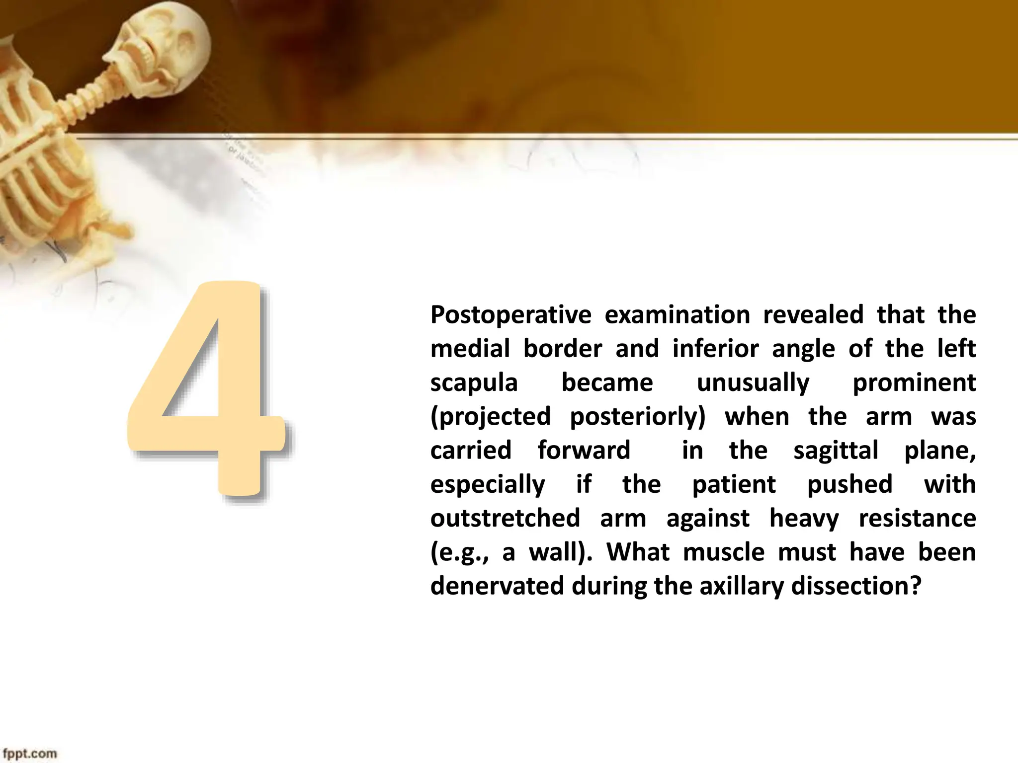 Axillary fossa_12.7.23.pptx