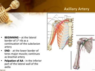 Axillary fossa_12.7.23.pptx