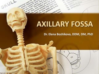 Axillary fossa_12.7.23.pptx