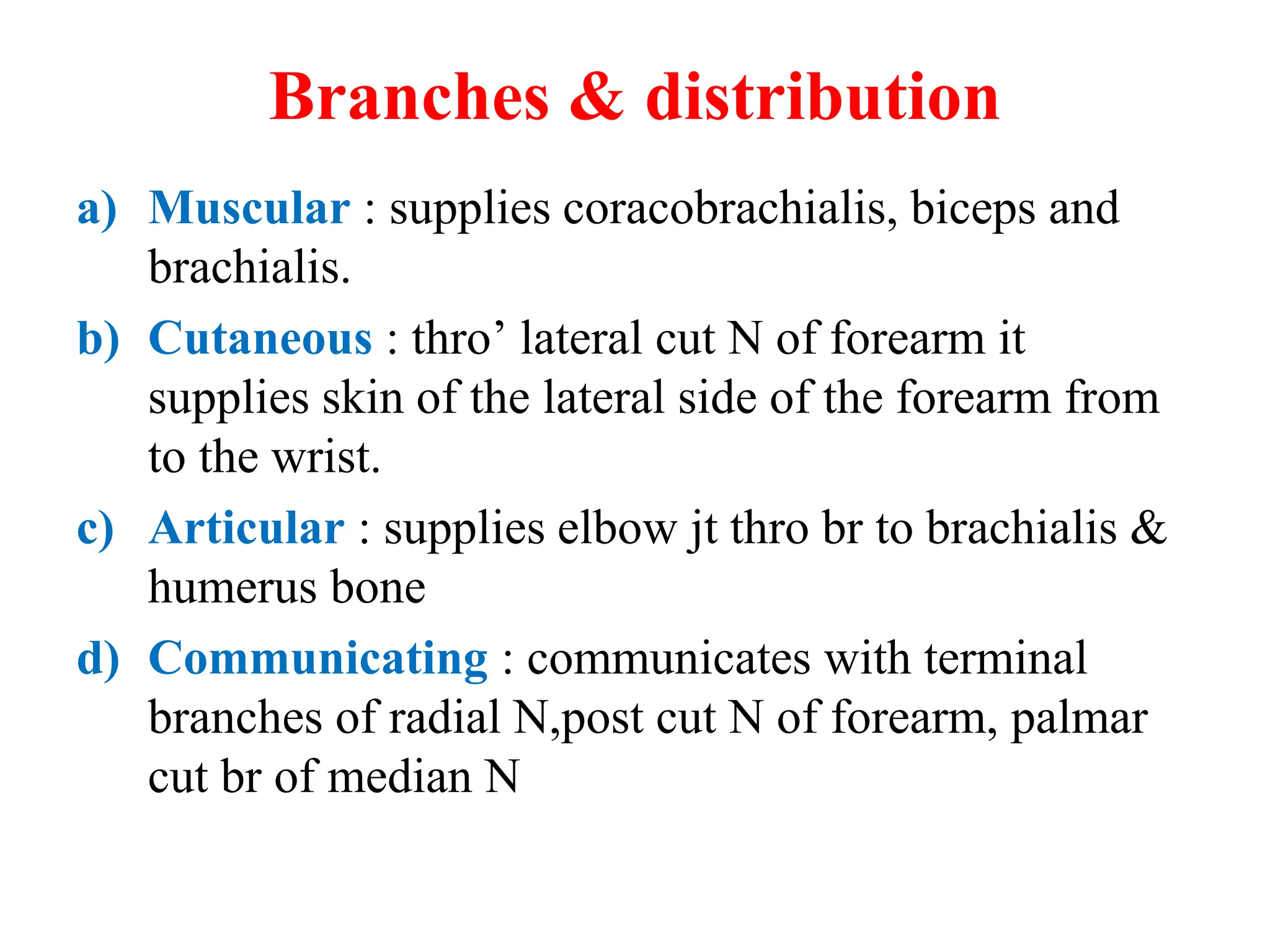 Axillary Lns And Musculocut Nerve These Lymph Nodes Present At Outer