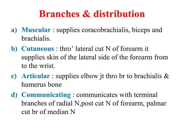 Axillary LNs & Musculocut Nerve These lymph nodes present at outer ...