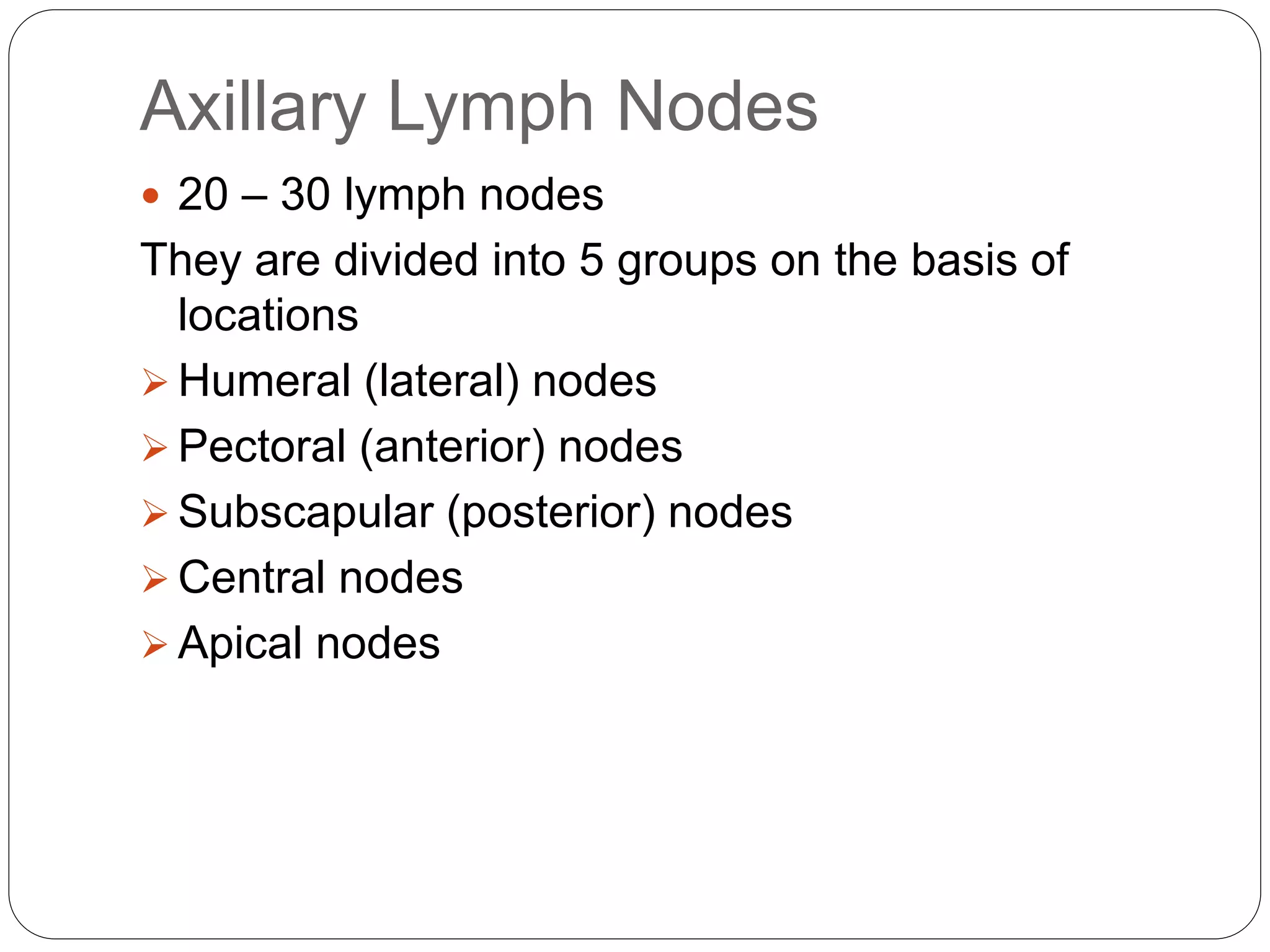 AXILLARY LYMPH NODES.pptx