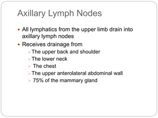 AXILLARY LYMPH NODES.pptx