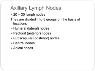 AXILLARY LYMPH NODES.pptx
