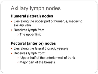 AXILLARY LYMPH NODES.pptx