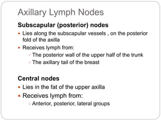 AXILLARY LYMPH NODES.pptx