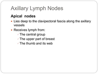 AXILLARY LYMPH NODES.pptx