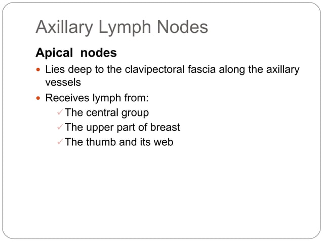 AXILLARY LYMPH NODES.pptx