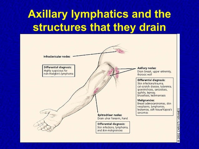 Axillary Lymph Nodes Examination.pptx