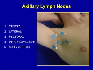 Axillary Lymph Nodes Palpation