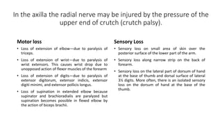 Axillary, Musculocutaneous & Radial Nerve.pptx