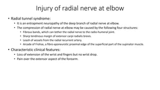 Axillary, Musculocutaneous & Radial Nerve.pptx