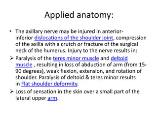 AXILLARY NERVE.pptx