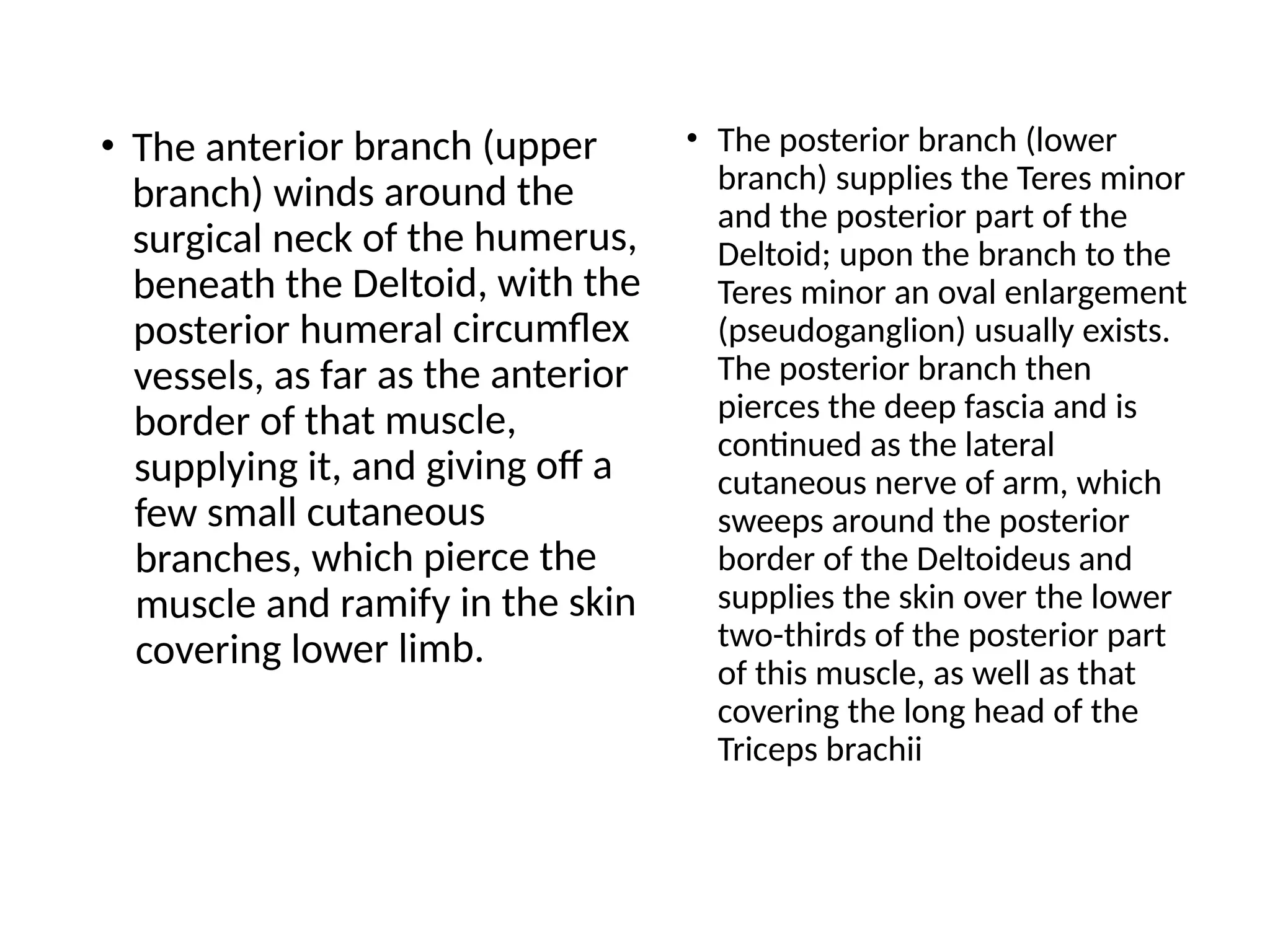 Axillary Nerve- which supplies the axilla | PPTX