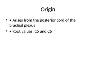Axillary_Nerve_Anatomy clinicalaspe.pptx