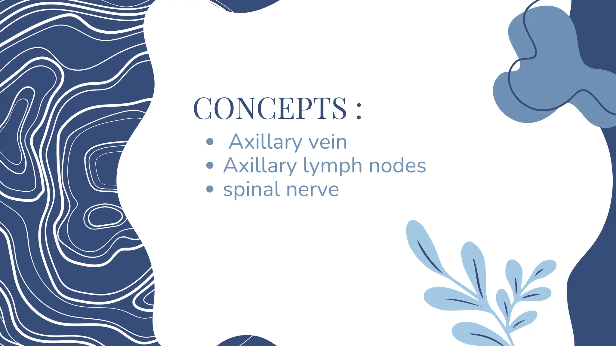 Axillary vein and Axillary lymph nodes short note | PPT