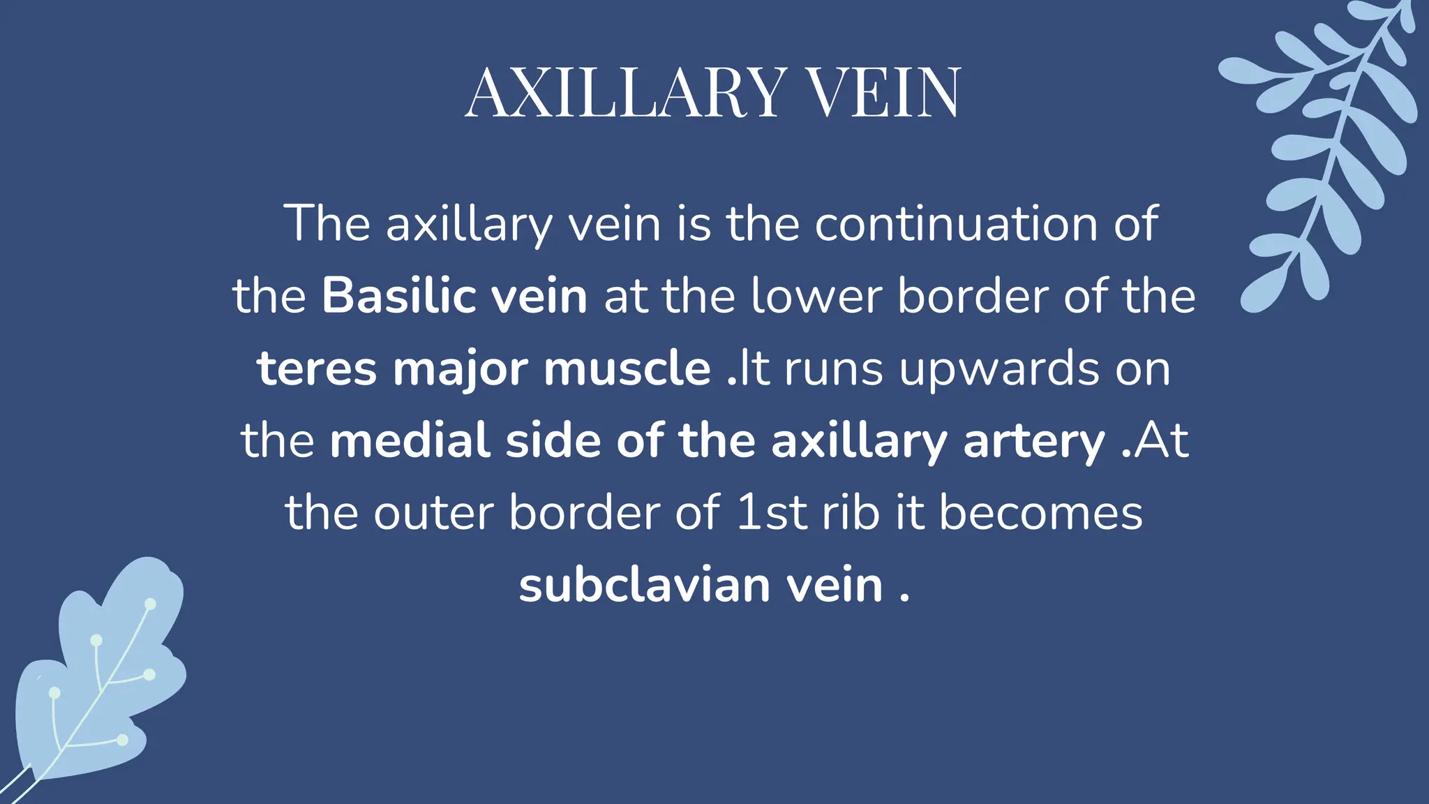 Axillary vein and Axillary lymph nodes short note | PPT