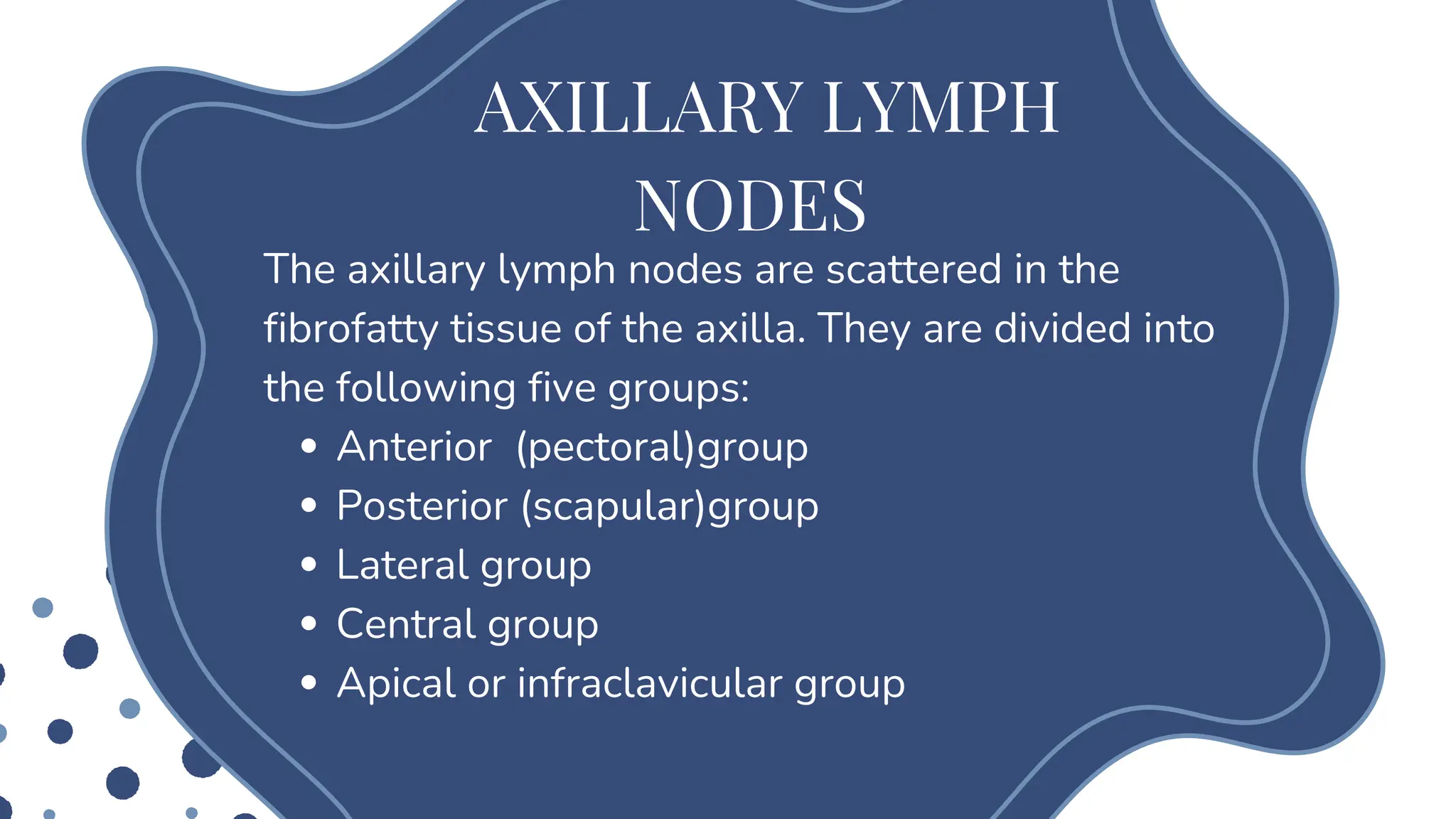 Axillary vein and Axillary lymph nodes short note | PPT