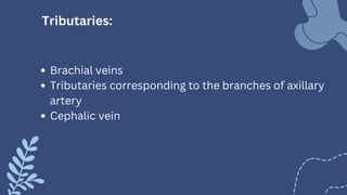Axillary vein and Axillary lymph nodes short note | PDF