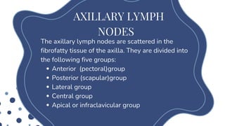 Axillary vein and Axillary lymph nodes short note | PDF