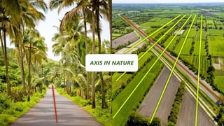 Axis- ordering Principle | PPT