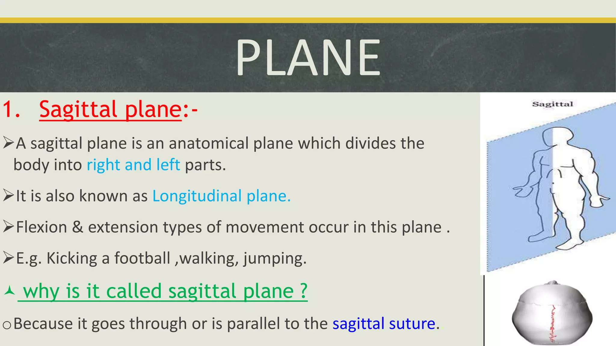 AXIS AND PLANE .pptx
