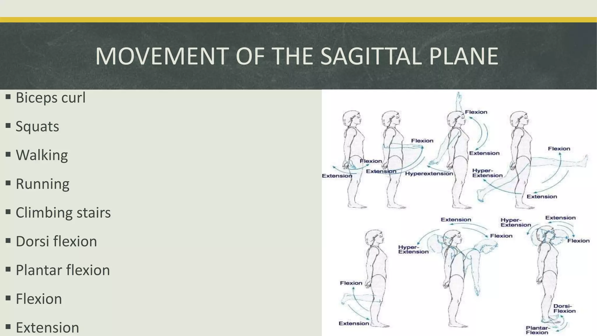 AXIS AND PLANE .pptx