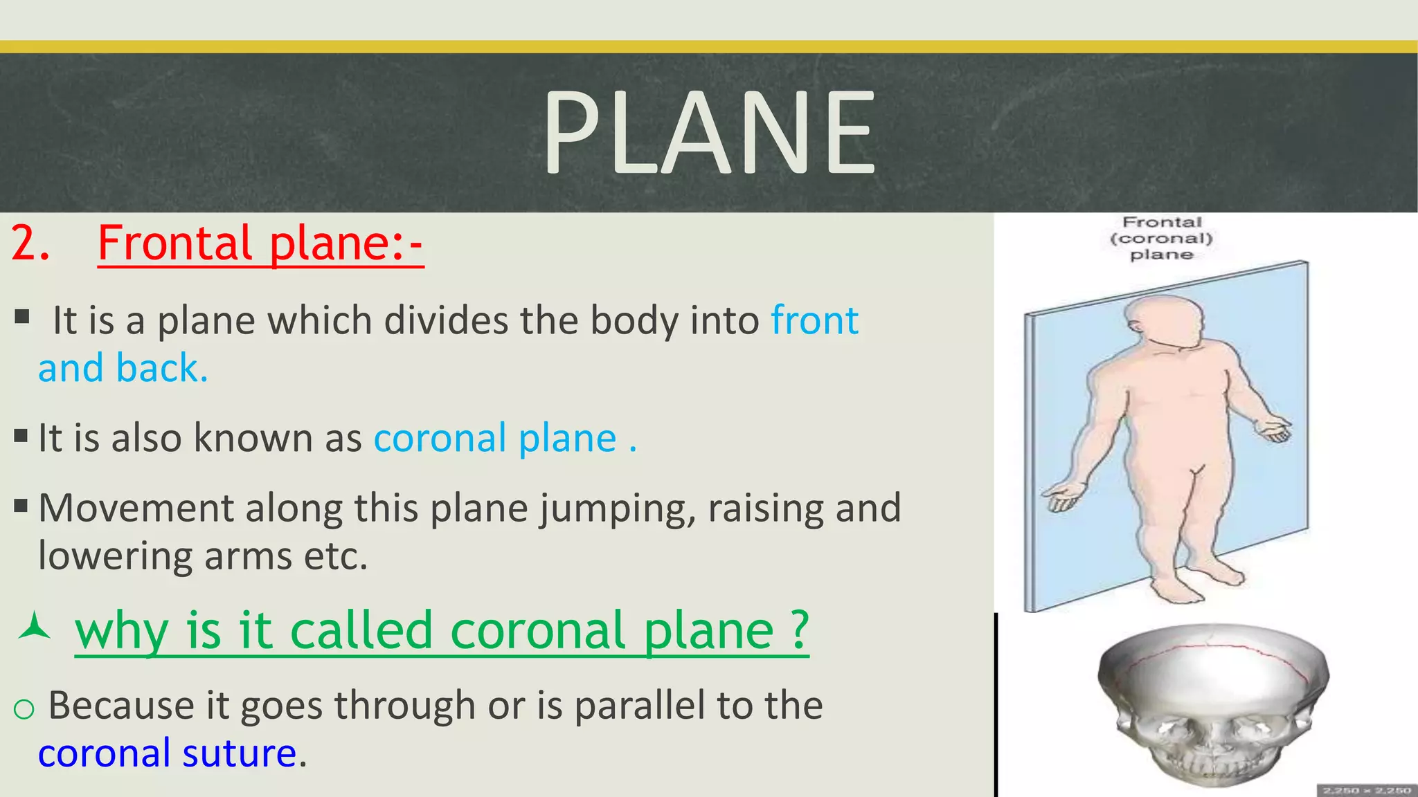 AXIS AND PLANE .pptx