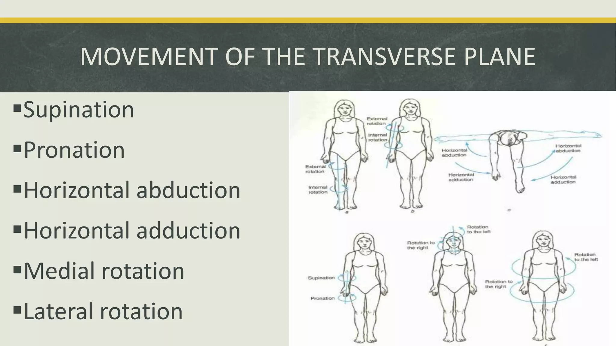 AXIS AND PLANE .pptx