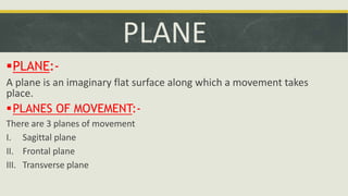 AXIS AND PLANE .pptx