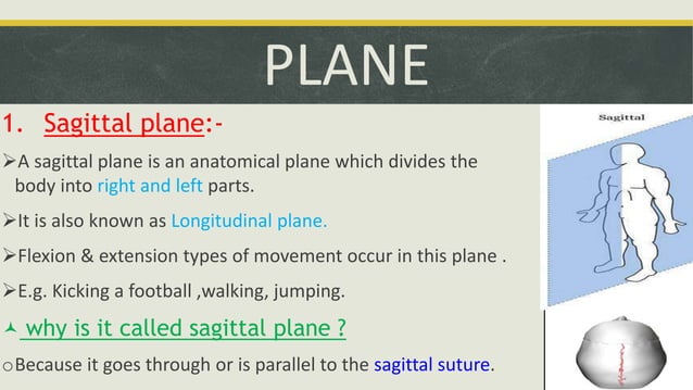 AXIS AND PLANE .pptx