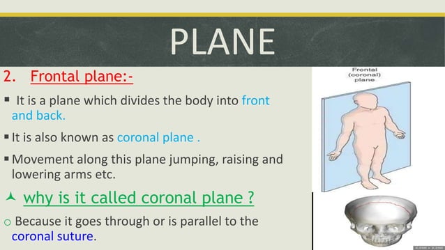 AXIS AND PLANE .pptx