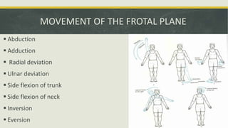 AXIS AND PLANE .pptx