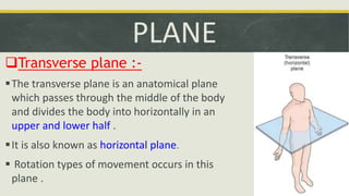AXIS AND PLANE .pptx
