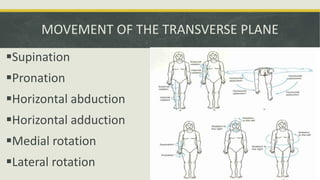 AXIS AND PLANE .pptx