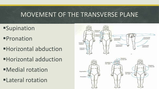 AXIS AND PLANE .pptx