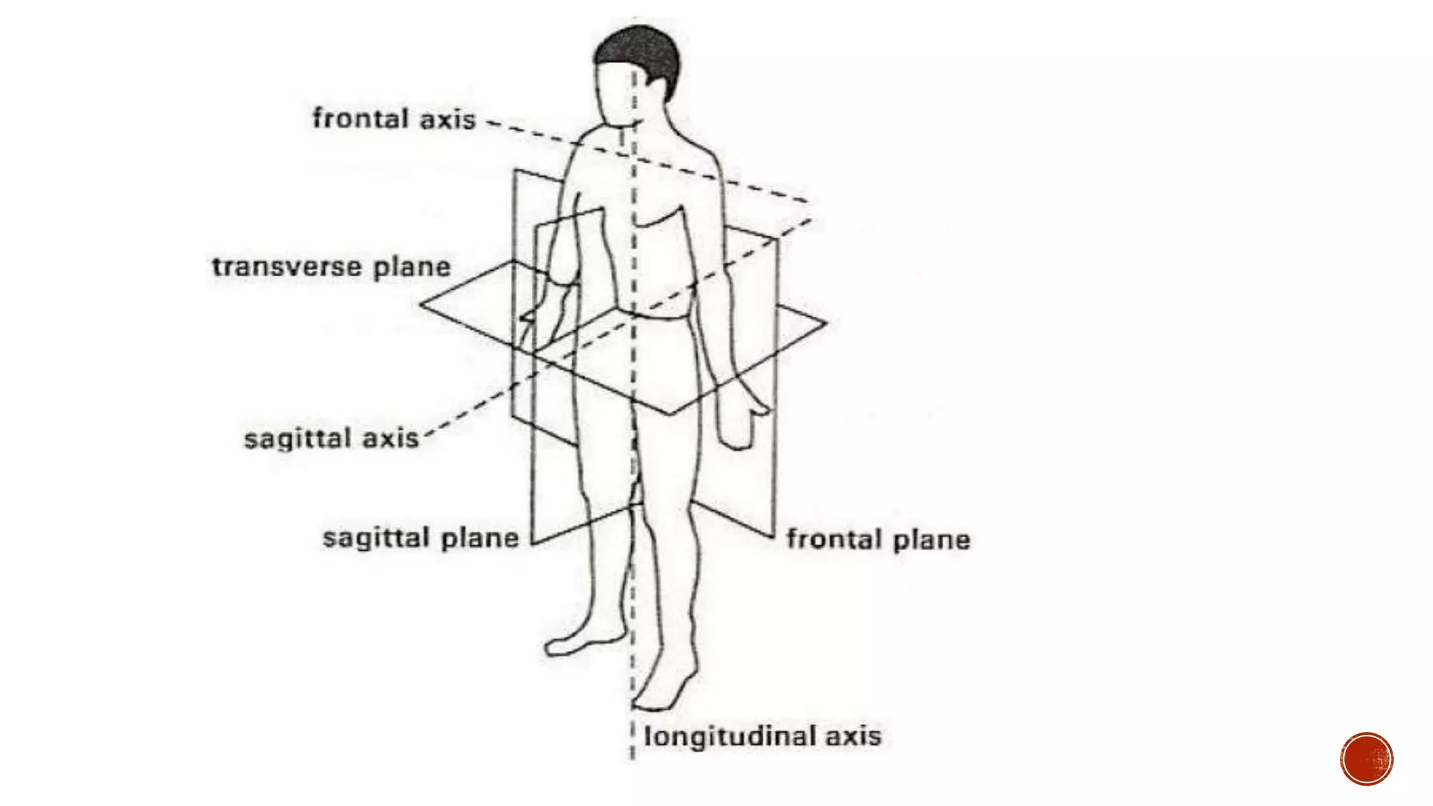 Axis and plane of movements.ppt