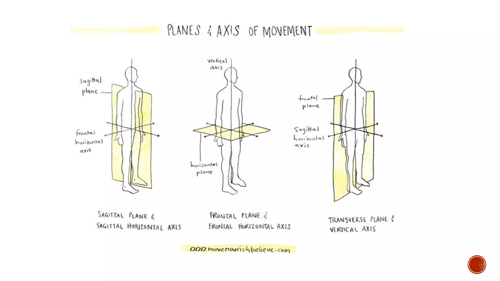 Axis and plane of movements.ppt