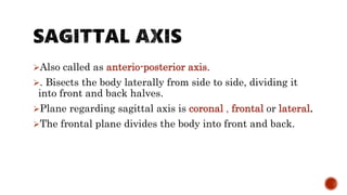 Axis and plane of movements.ppt | Air Travel | Travel Type