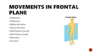 Sagittal Plane Movements