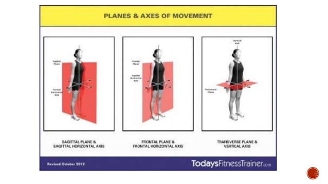 Axis and plane of movements.ppt