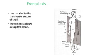 AXIS AND PLANES.pptx