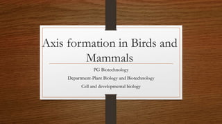 Axis formation in birds and mammals | PPTX
