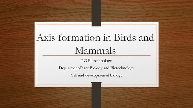 Axis formation in birds and mammals | PPTX
