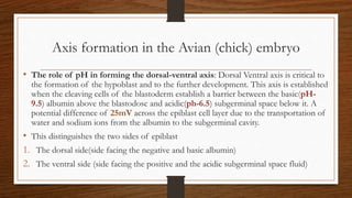 Axis formation in birds and mammals | PPTX