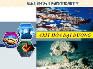 Axit hoa dai duong | PDF