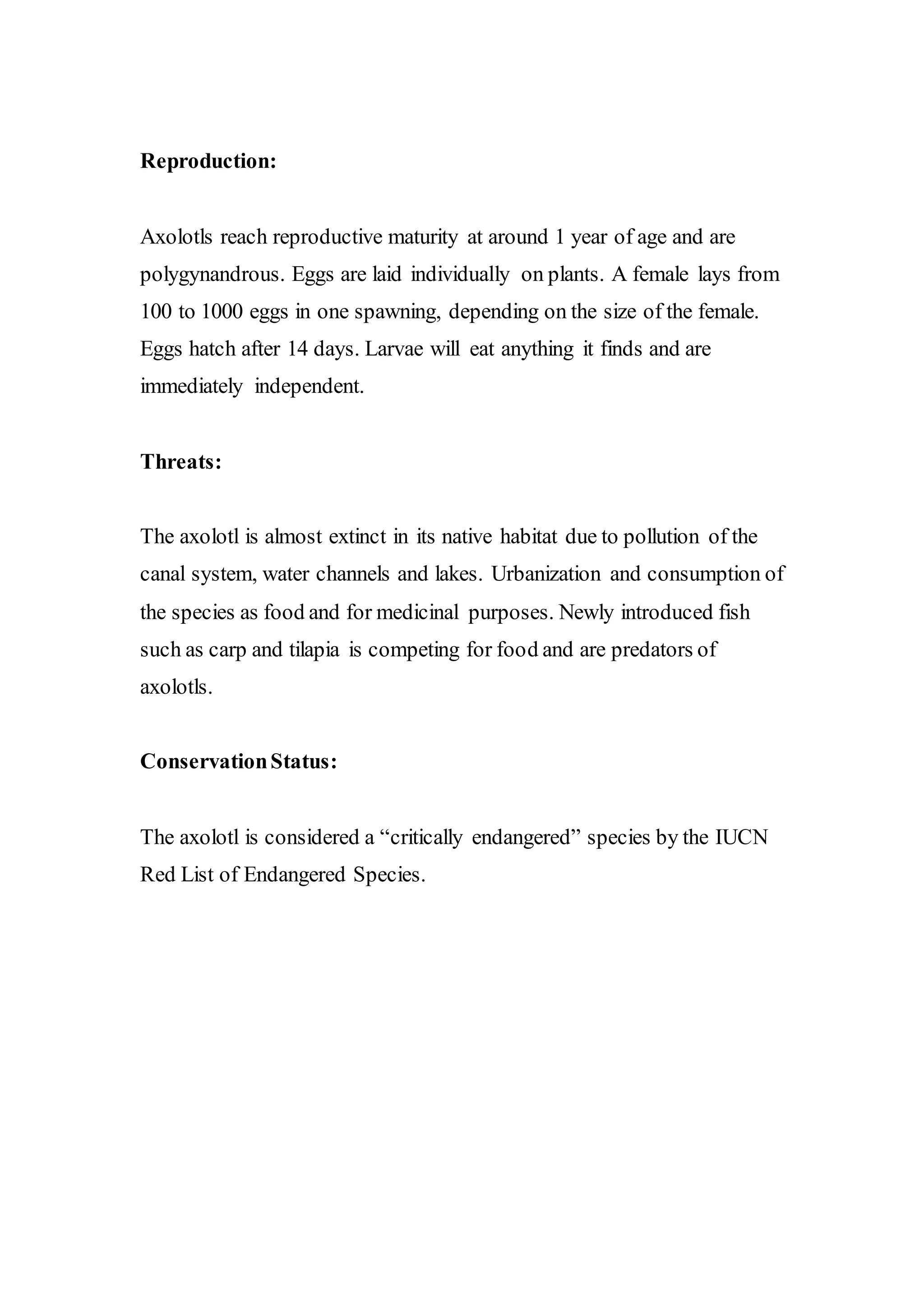 Axolotl report | DOCX