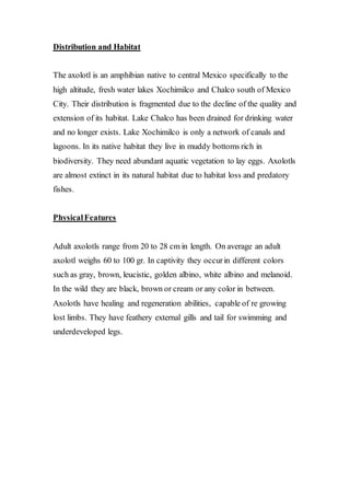 Axolotl report | DOCX